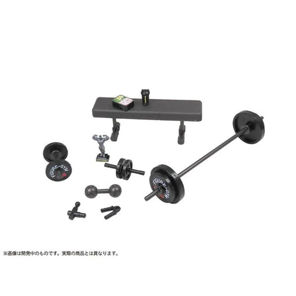 Puripura Muscular Workout for 1/12 Figures Painted Plastic Model – Doki ...